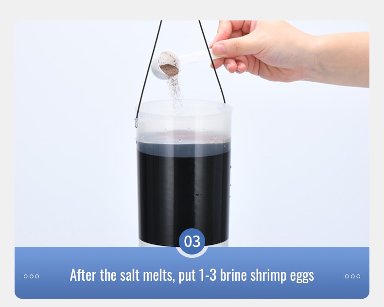 YEE Brine Shrimp Hatching Kit, Professional Incubator, Full Set ...