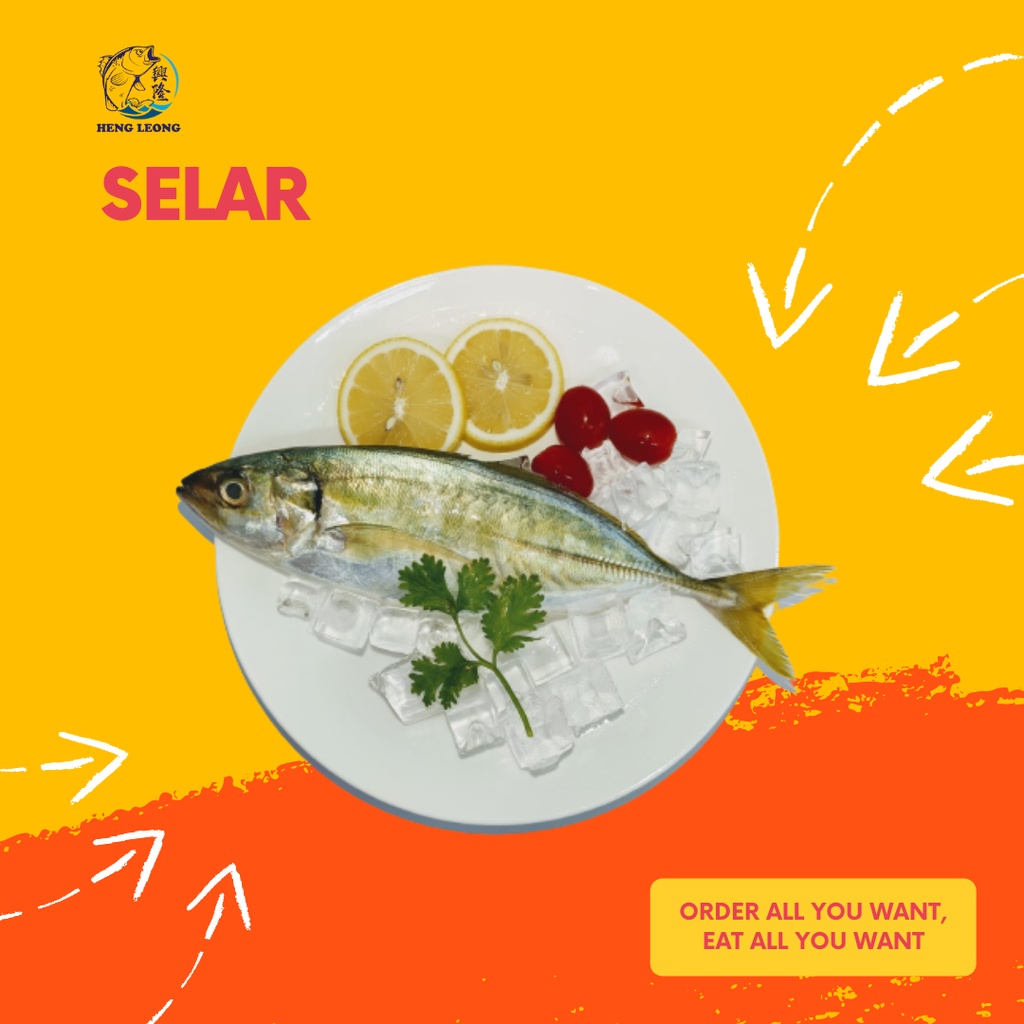 Heng Leong-Fresh Selar/色拉鱼 | Shopee Singapore