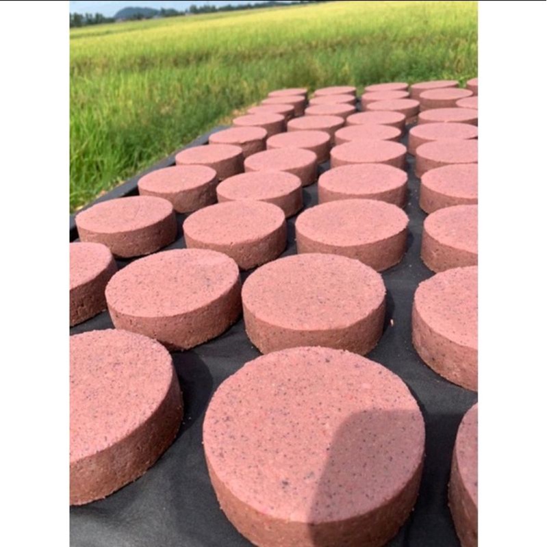 Kak Siti's Viral Belacan From Perlis (Viral Tiktok Pink Belacan ...