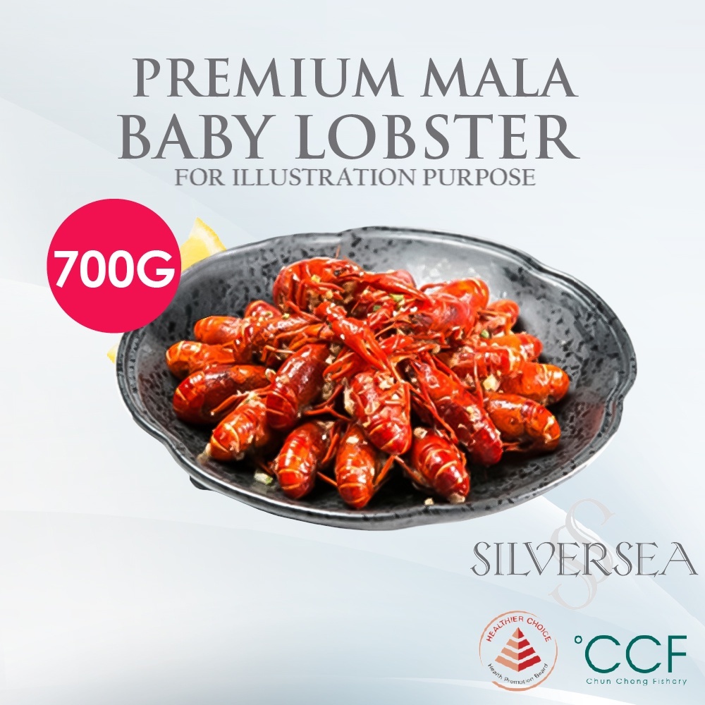 Silversea - Mala Baby Lobster 700G Ready to Eat Seafood | Shopee Singapore