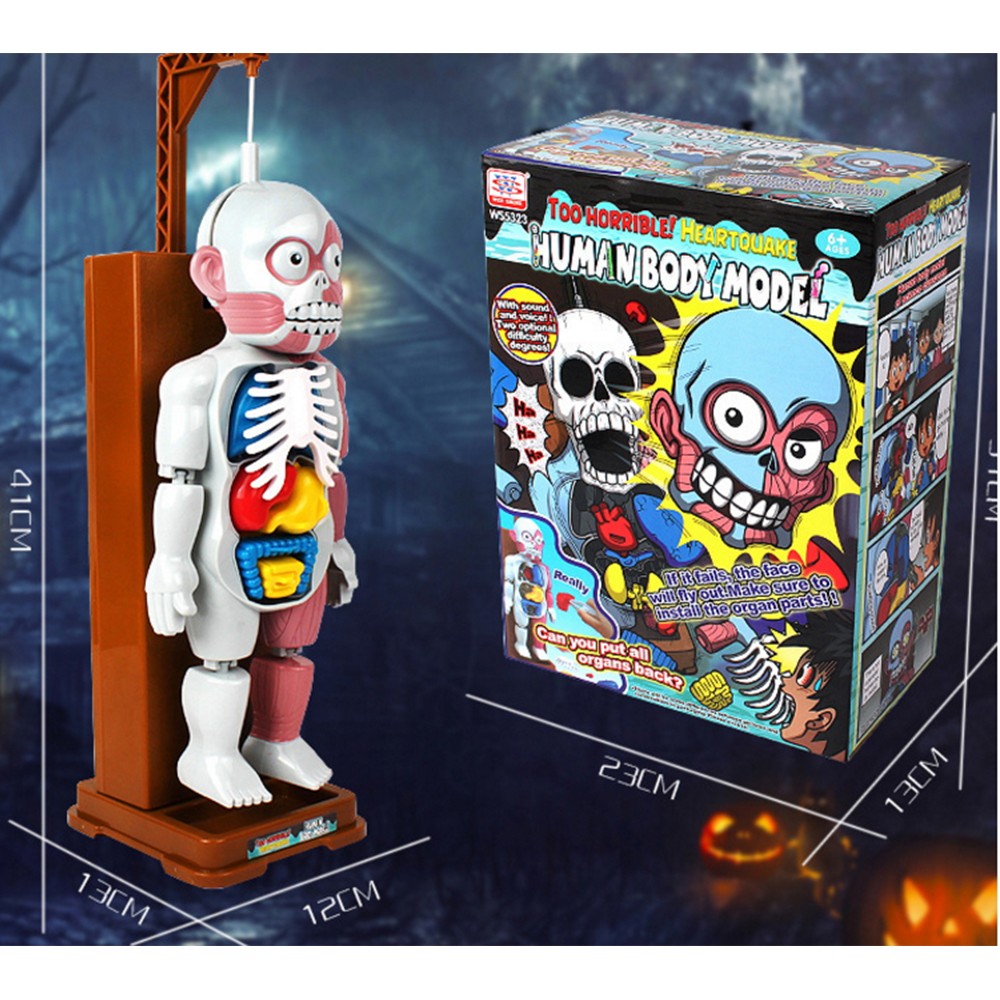 Body Organ Games Human Model | Shopee Singapore