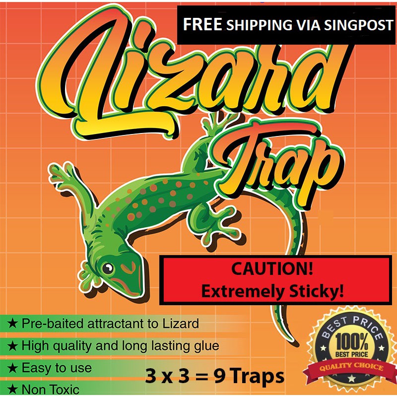 Lizard Trap with Pre-baited Glue (9 small traps/pack) *Non-toxic ...