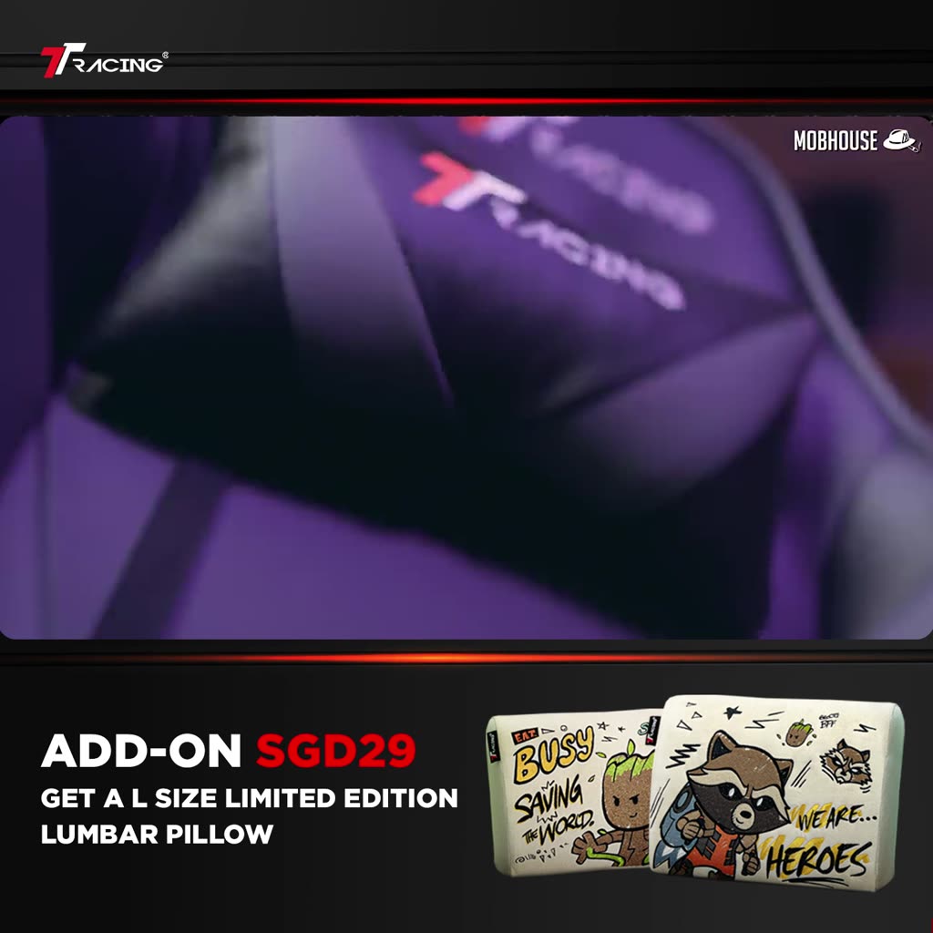 TTRacing Swift X Swift X Pro Gaming Chair Ergonomic Home Office Chair ...