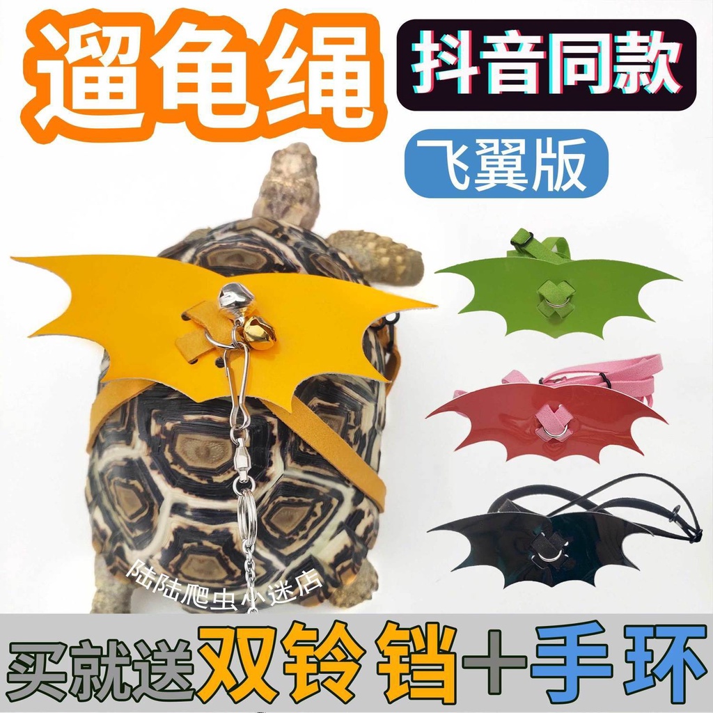 Walking Turtle Tortoise Traction Rope Small Medium-Sized Belt Vest ...