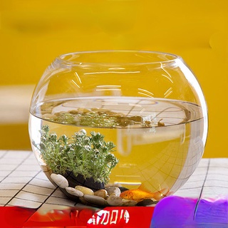 Transparent Glass Fish Tank Living Room Home Ball Fish Tank Small Fish ...