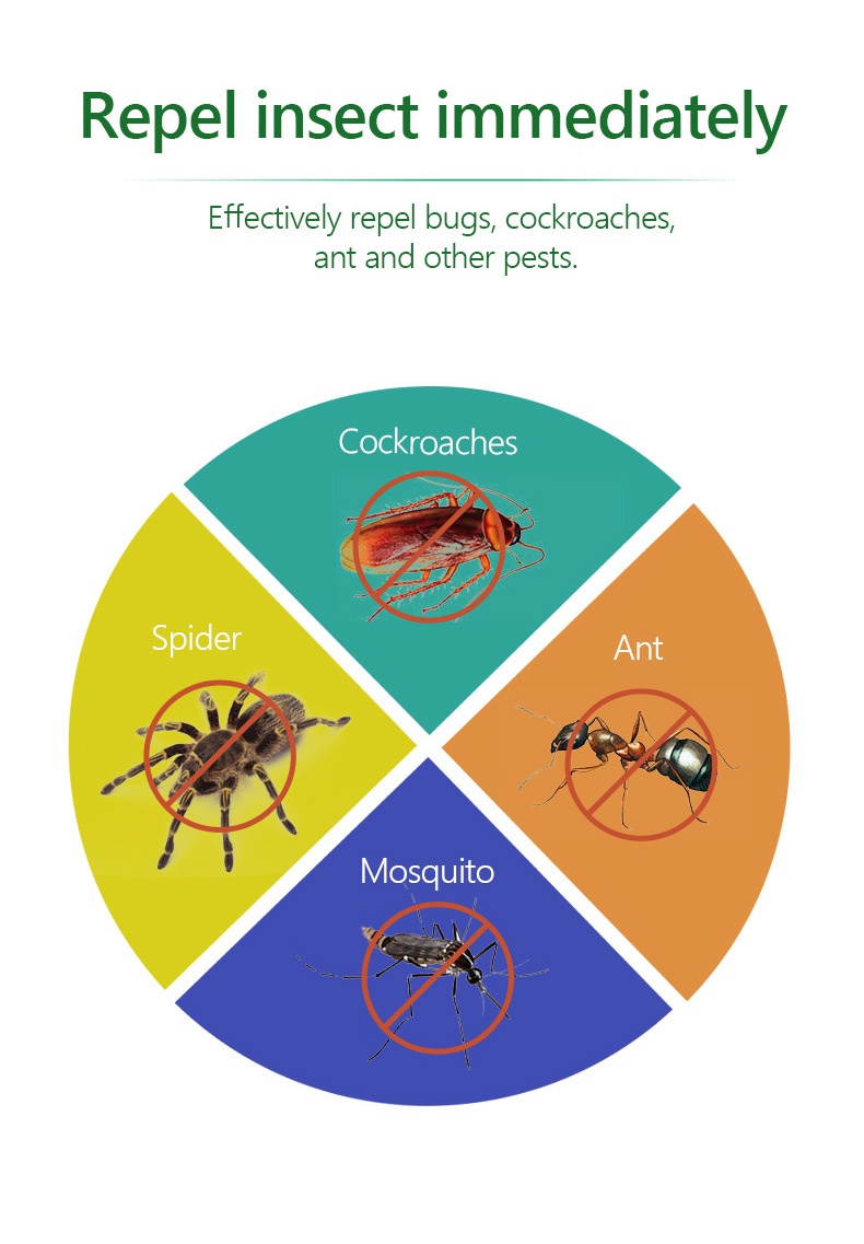Ecostar Multi-purpose Insect Repellent Repel Insect Effectively ...