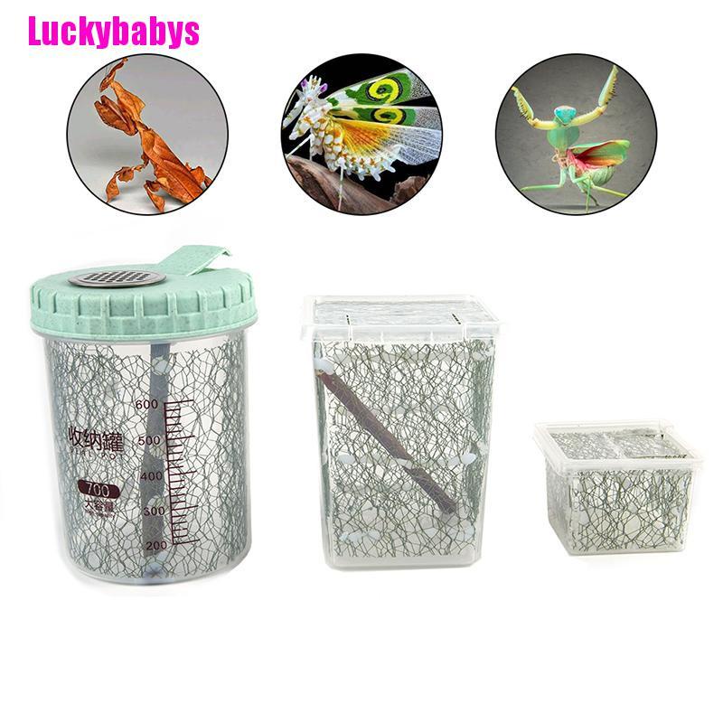 [Luckybabys] Pet Supplies Praying Mantis Breeding Box Clear Feeding Box ...