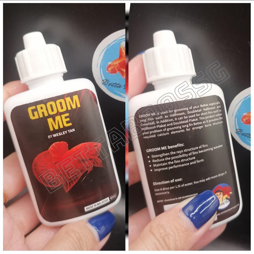 GROOM ME by Wesley Tan | Betta grooming solution | Shopee Singapore
