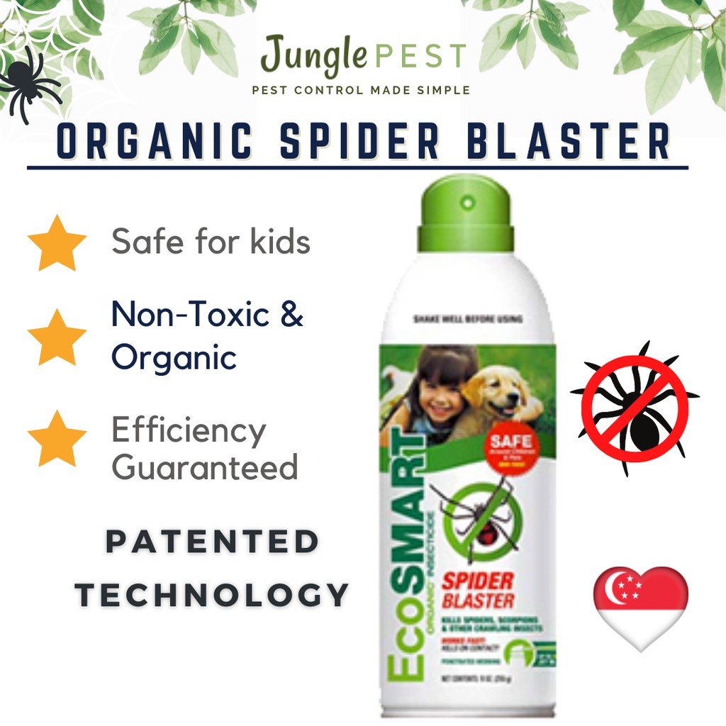 Eco Smart Spider Blaster | Guaranteed Results. Kills spider, Scorpion ...