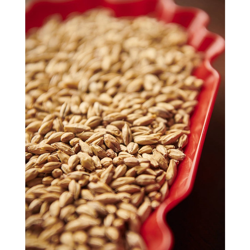 Weyermann- Vienna Malt (100 grams / bag) | Shopee Singapore