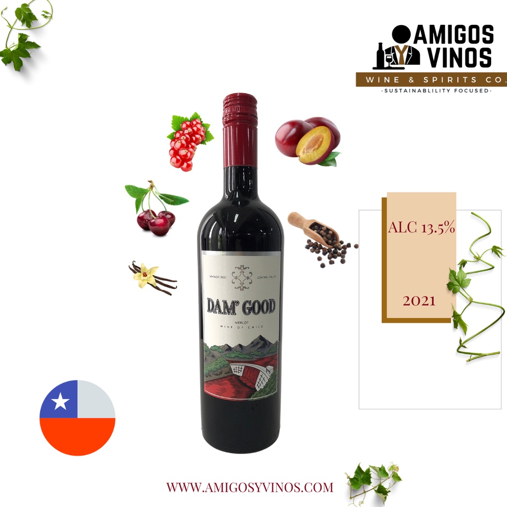 Dam Good Merlot 2021 Chilean Red Wine 750ml | Shopee Singapore