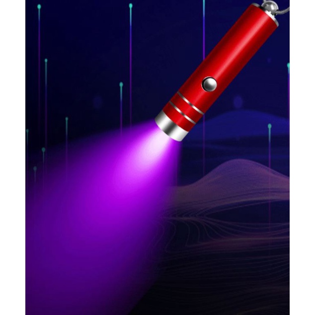 🇸🇬 SG stock-Mini UV LIGHT/Fluorescent lamp/torch with Key chain for ...