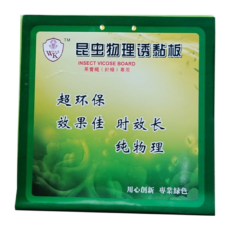 Insect Sticky Trap, Board (For Houseflies, Insects, Fruit Fly) 21cmL x ...