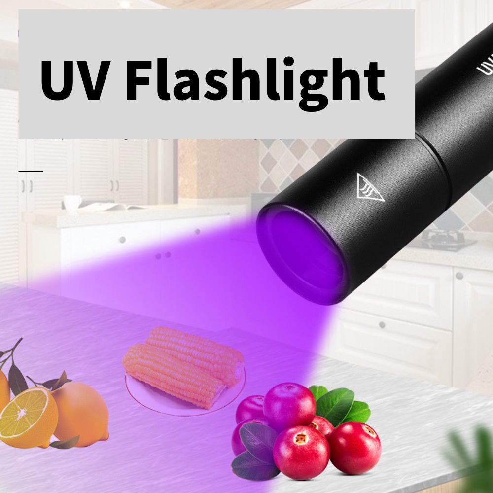 【SG】UV Flashlight Black Light Rechargeable 365nm Ultraviolet Handheld ...