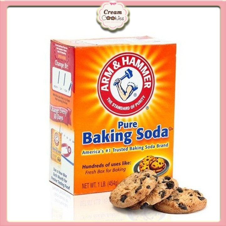 Banking Soda powder / Open Salt / Various Uses 454g | Shopee Singapore