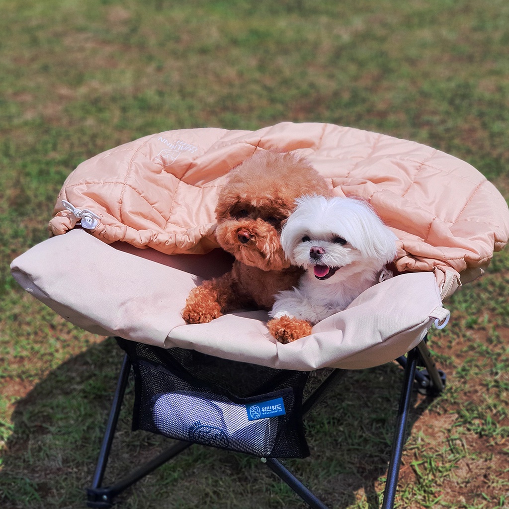Dog camping bed store