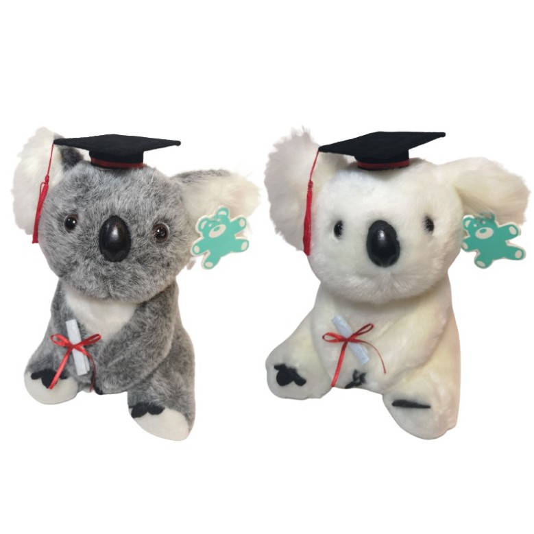 Adorable Assorted Koala Bears Graduation Bear Convocation Plush Gift ...