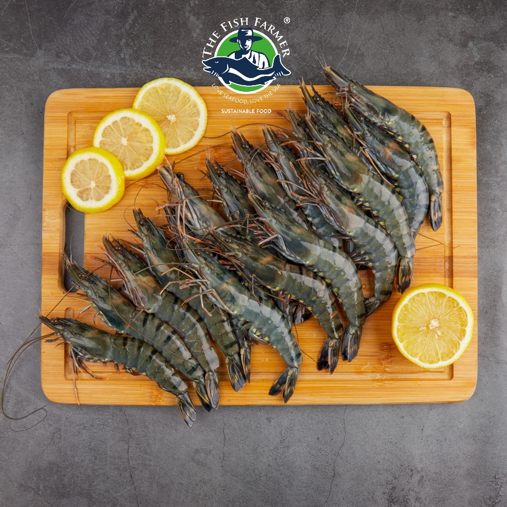[The Fish Farmer] Black Tiger Prawn Shell on Head on, 16/20 - Frozen ...