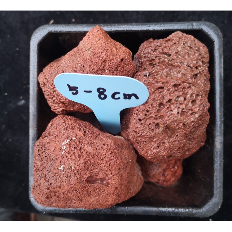 Lava Rock Aquarium Stone PASIR MALANG 火山石 多肉火山石 种植火山石 Aquarium Fish Tank Filter Media Volcanic ...