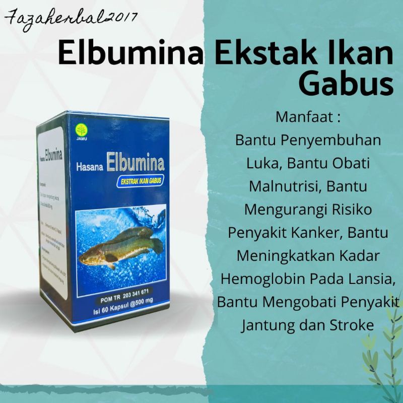 Hasana elbumina snakehead fish extract 60 capsules original kutuk ...