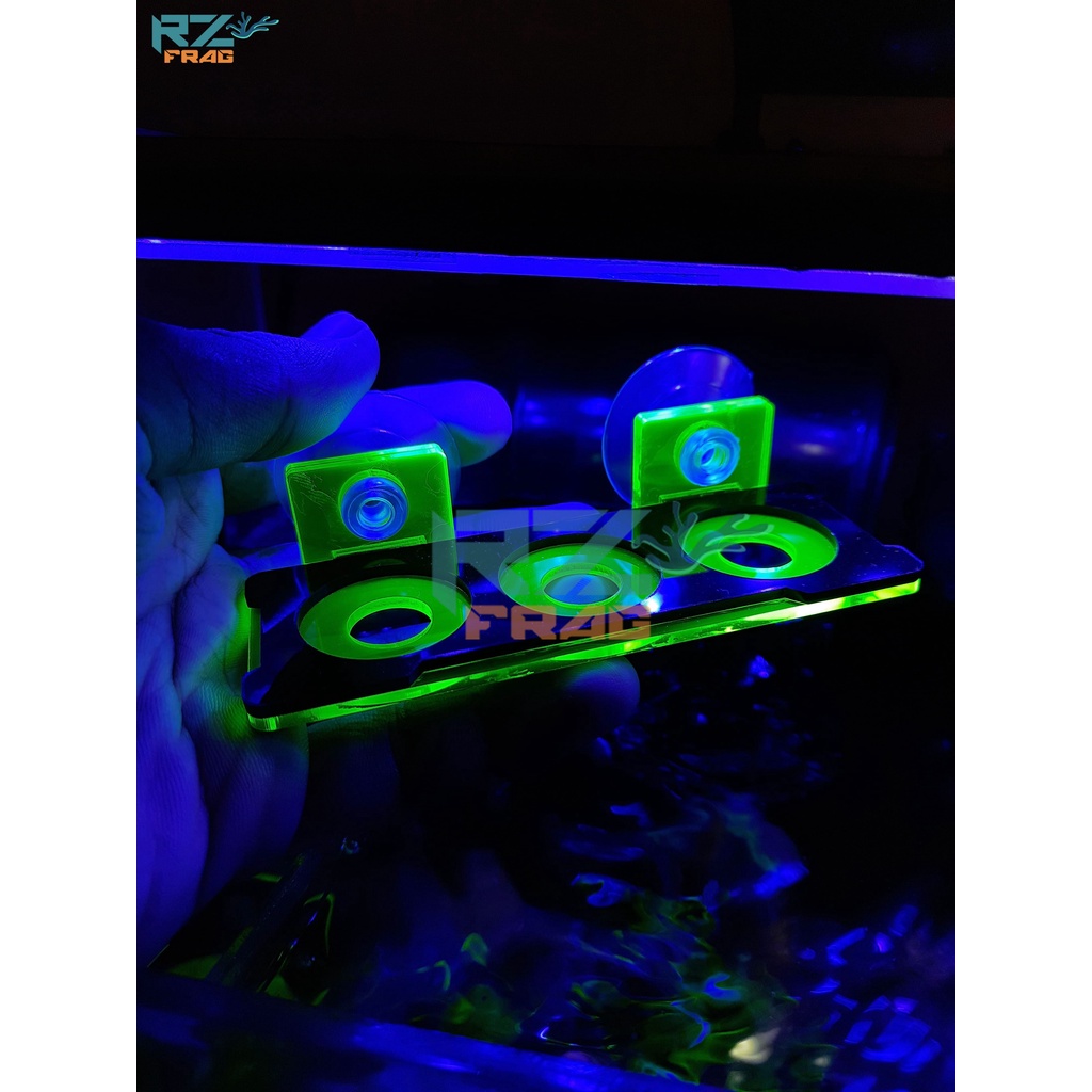 RZ FRAG Coral Frag Rack Base Green Acrylic 4mm / Coral Coaster ReefTank ...