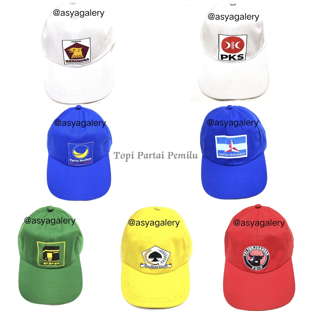 Election Party Hat Baseball Cap Political Party Logo (Can Request ...