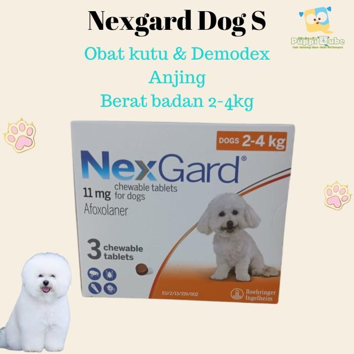 Nexgard DOG S - CHEWABLE TABLET For DOG Fleas & DEMODEX 2-4KG | Shopee ...