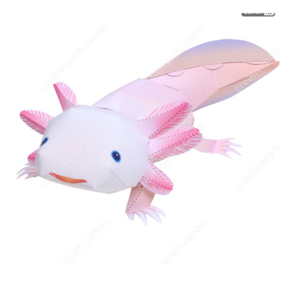AXOLOTL animal papercraft miniature history of world heritage diy paper ...