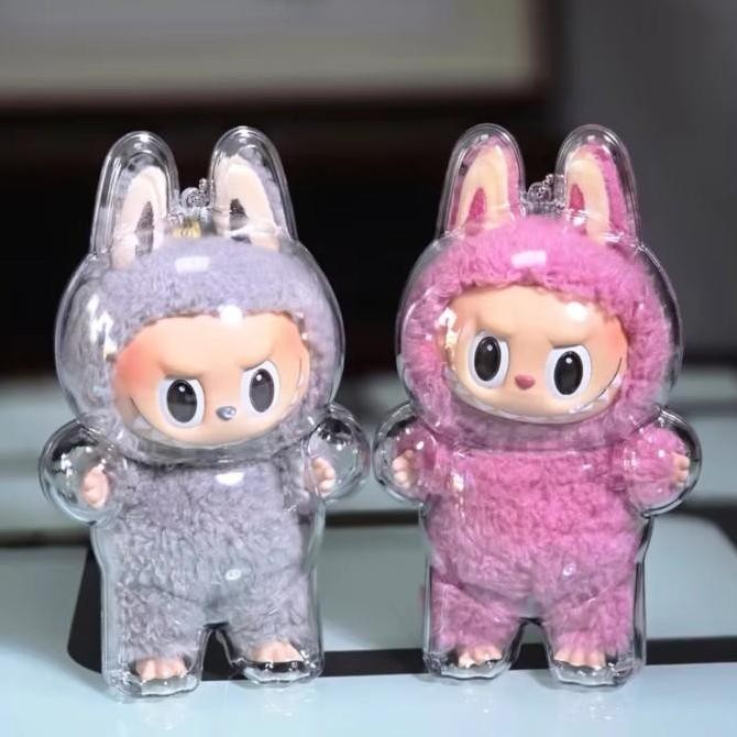 Acrylic Case Labubu v1 and v2 Hard Case Cover Acrylic and Labubu Pvc ...