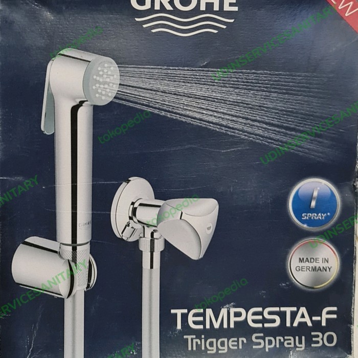 CAN E-FACTURING! GROHE TEMPESTA F TRIGGER SPRAY 30 WITH STOP VALVE 100% ...