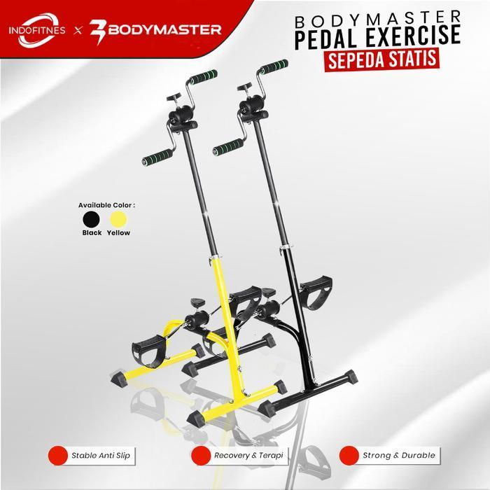 Bodymaster Pedal Exerciser - Mini Bike Static Bike for Stroke Therapy ...