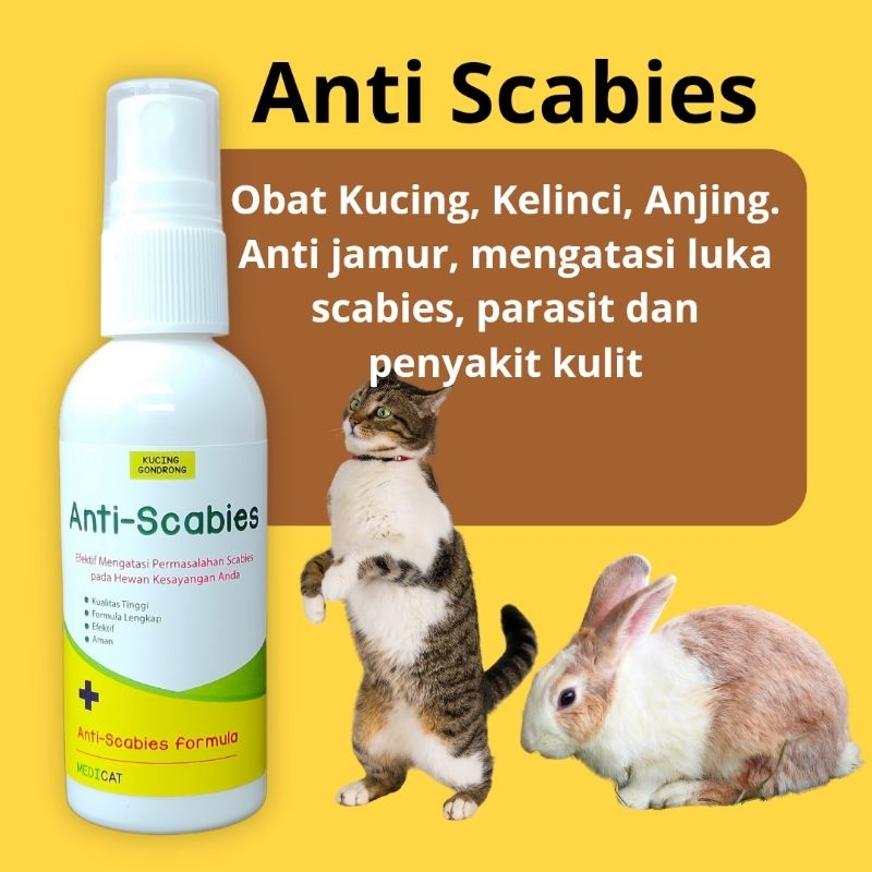Anti Scabies Medicine Cat Fungus Skin Medicine Scabies Demodex Impetigo ...