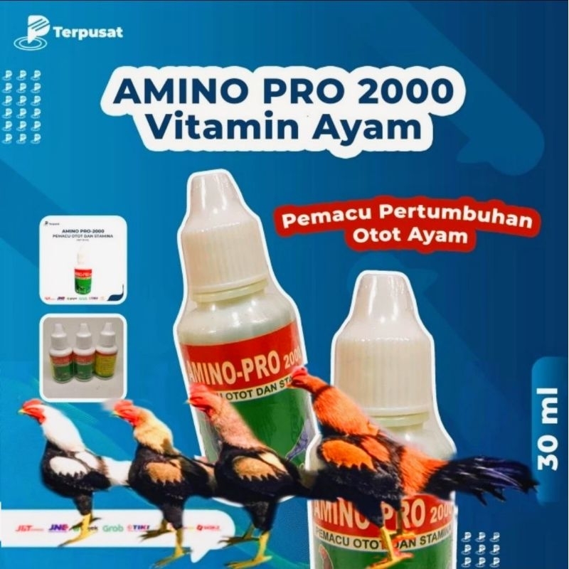 Amino Pro 2000 30 ml - Chicken Medicine that Promotes Body Growth ...