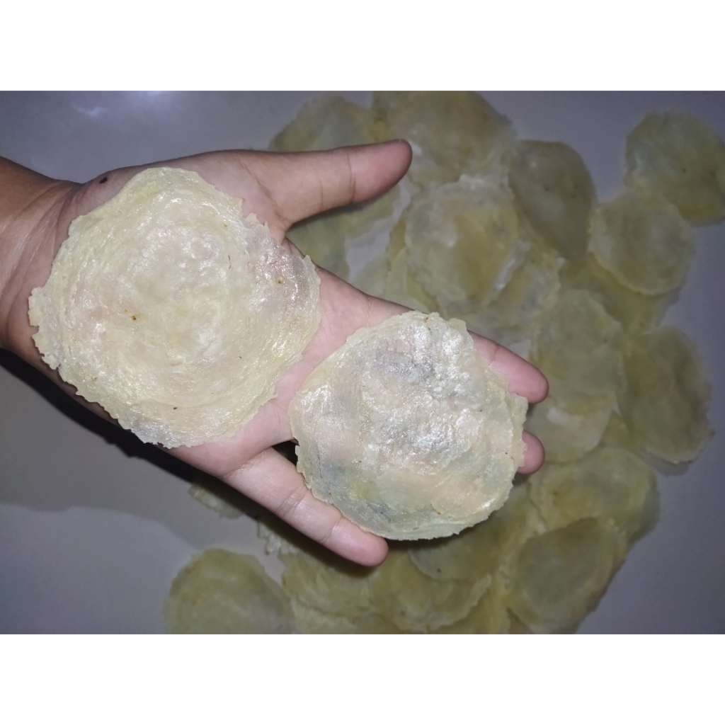 JAVA EMPING BELINJO RAW LB (3-5) MELINJO SEEDS SUPER MELINJO EMPING ...