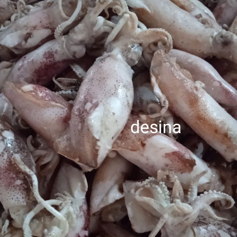 Boiled squid salted fish/boiled cuttlefish jumbo size weighing 1kg ...