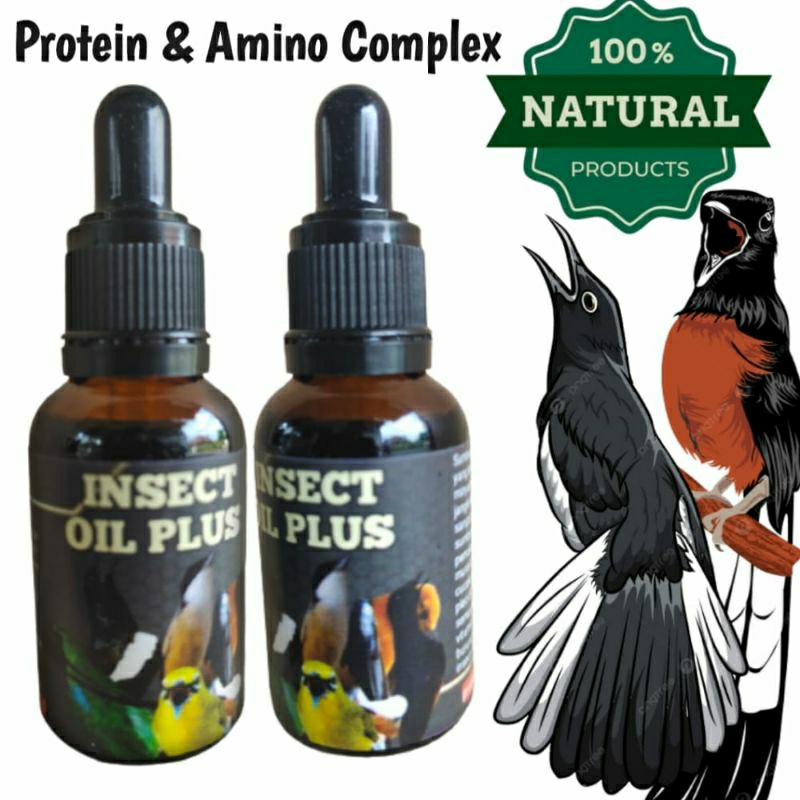 Insect Oil Plus Vitamin Supplement Penggacor Murai Batu Kacer Cucak Ijo ...