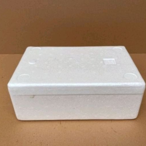 Styrofoam Box 1kg/styrofoam Ice Box 1kg | Shopee Singapore