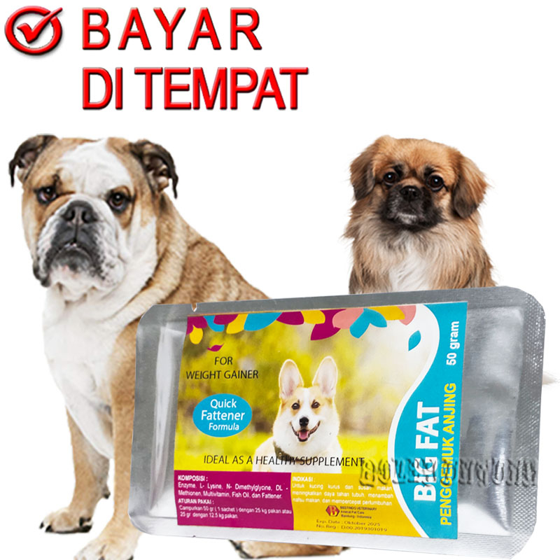 Big FAT DOG VITAMIN FAT DOG Weight Gain | Shopee Singapore