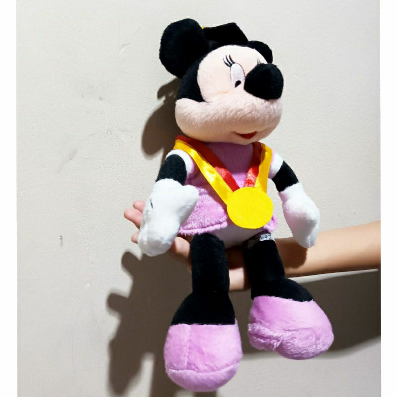 Minnie Mouse graduation doll gift, graduation gown, unique, cute, soft ...