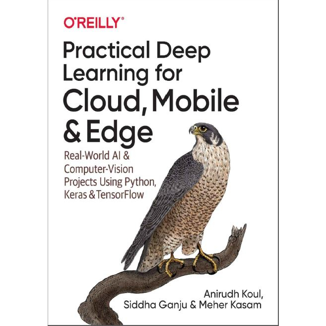 Practical Deep Learning for Cloud, Mobile, and Edge Real-World AI ...