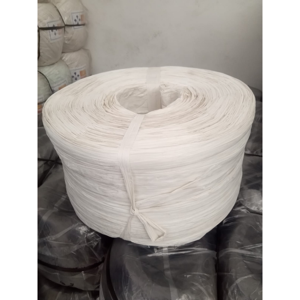 Large Roll PLASTIC Rafia ROPE | Shopee Singapore