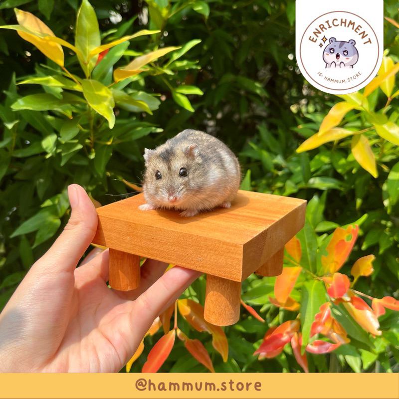 KAYU Wooden Hamster Table (Mini Box) | Hamster Platform Mini Table ...