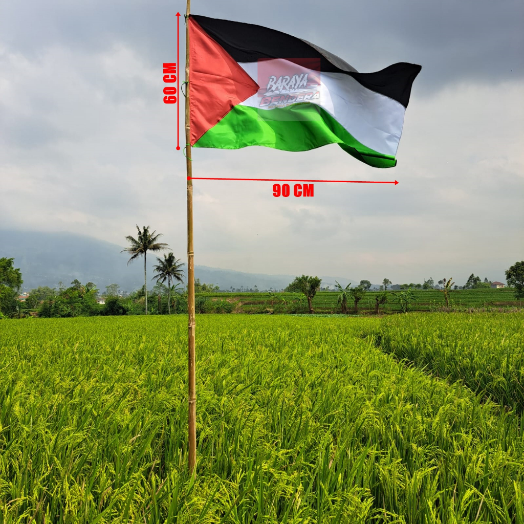Palestine FLAG 90 CM x 60 CM | Shopee Singapore