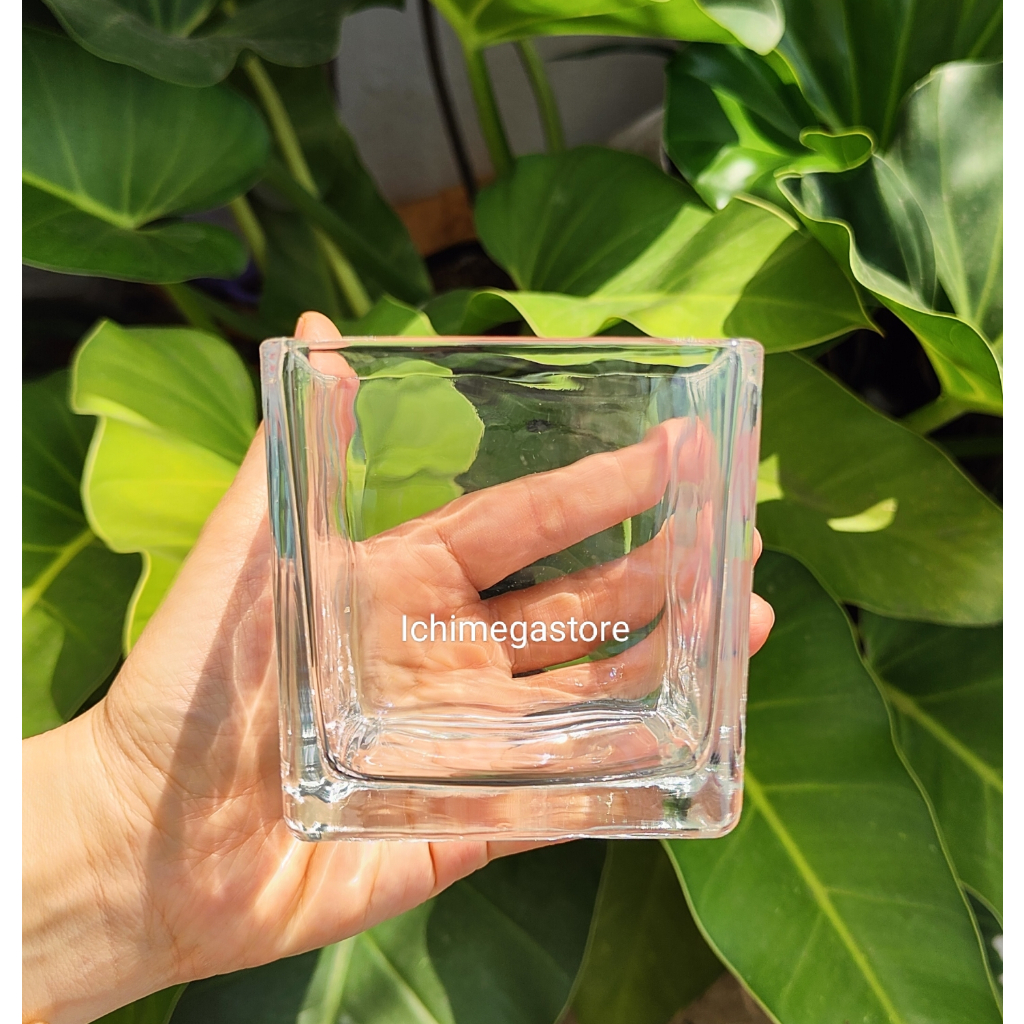 Square Glass Glass Thick Wine Vase Box Quality Aesthetic Ichi Colletion ...