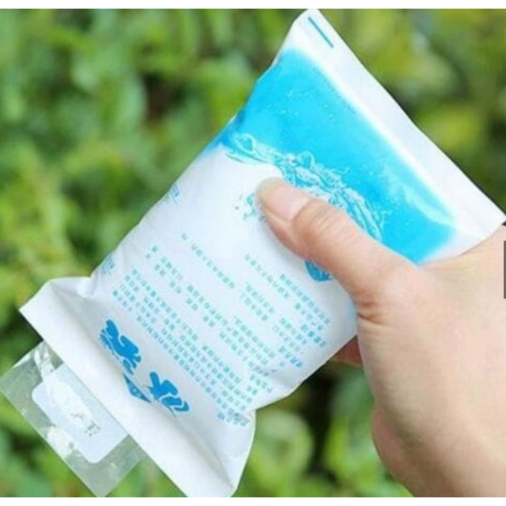 Ice Gel/Cooler Bag Jelly (Special Addition Of Frozen Goods) | Shopee ...
