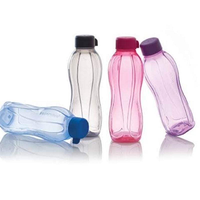 Eco Bottle Thread 500ml (1pc) | Shopee Singapore