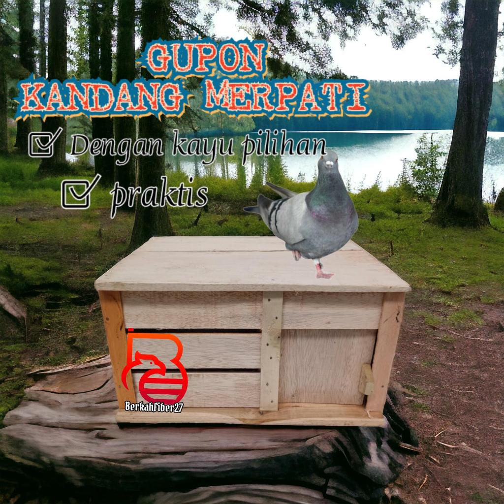 Pigeon cage, barrel pigeon, tank pigeon, tank pigeon | Shopee Singapore