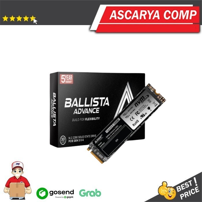 Paradox Gaming Ballista Advance SSD M.2 NVMe 2280 256GB Pcie Gen3X4 ...