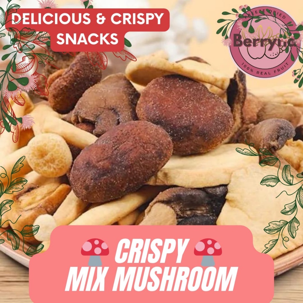 Berryna Crispy mushroom Snacks Dry Crispy mushroom Chips mushroom Mixed ...