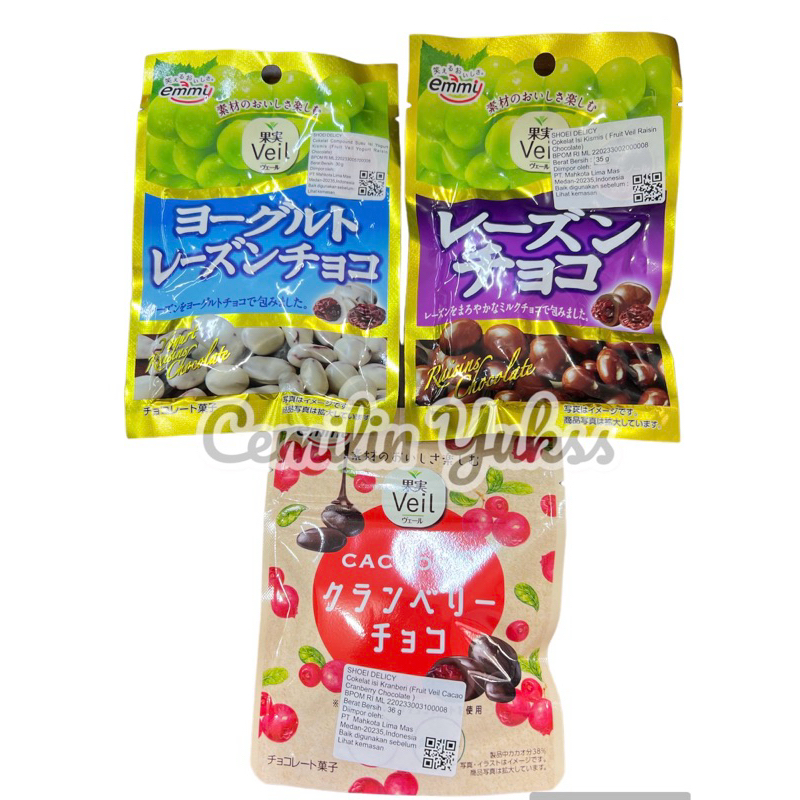Shoei Delicy Fruit Veil Cacao Cranberry Chocolate 36g Raisin Chocolate ...